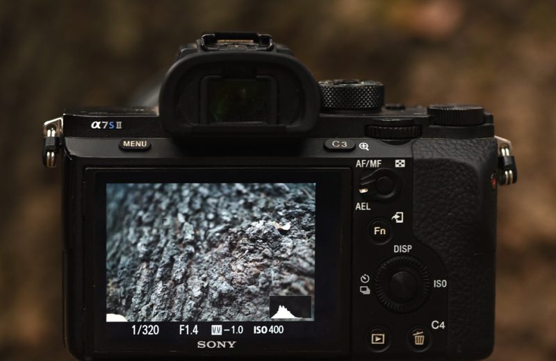 Aprende a usar el histograma para mejorar tus fotos | Sony | Alpha Universe