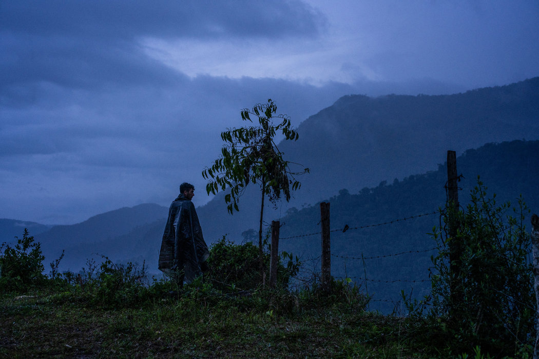 Federico Ríos, el #SonyAlphaPartner que publica en New York Times ...