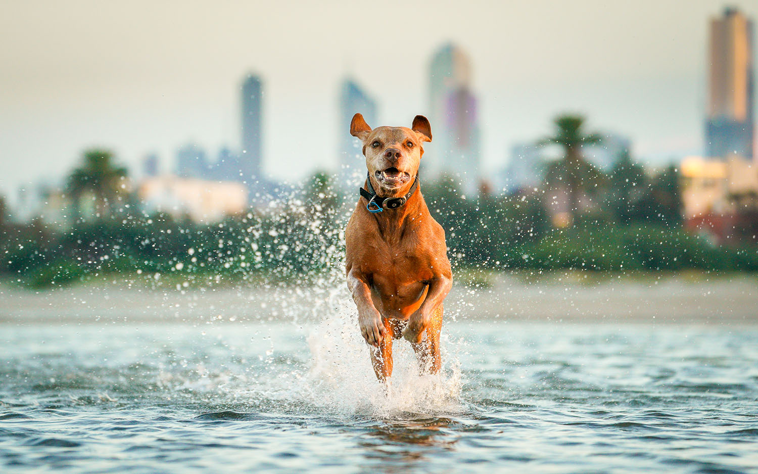 Eventos | Sony | Alpha Universe