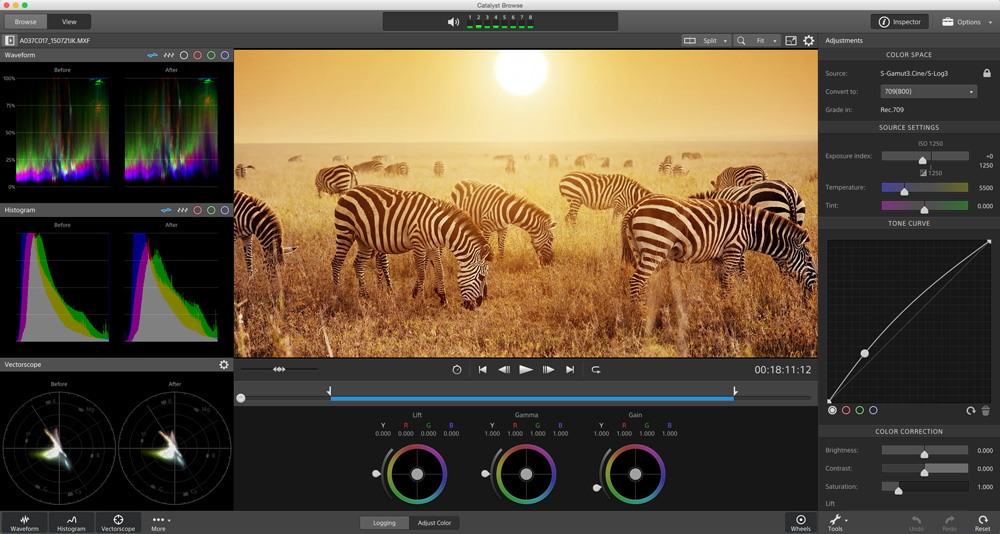 ¿Qué es el Catalyst Browse y cómo me ayuda a estabilizar mis videos ...