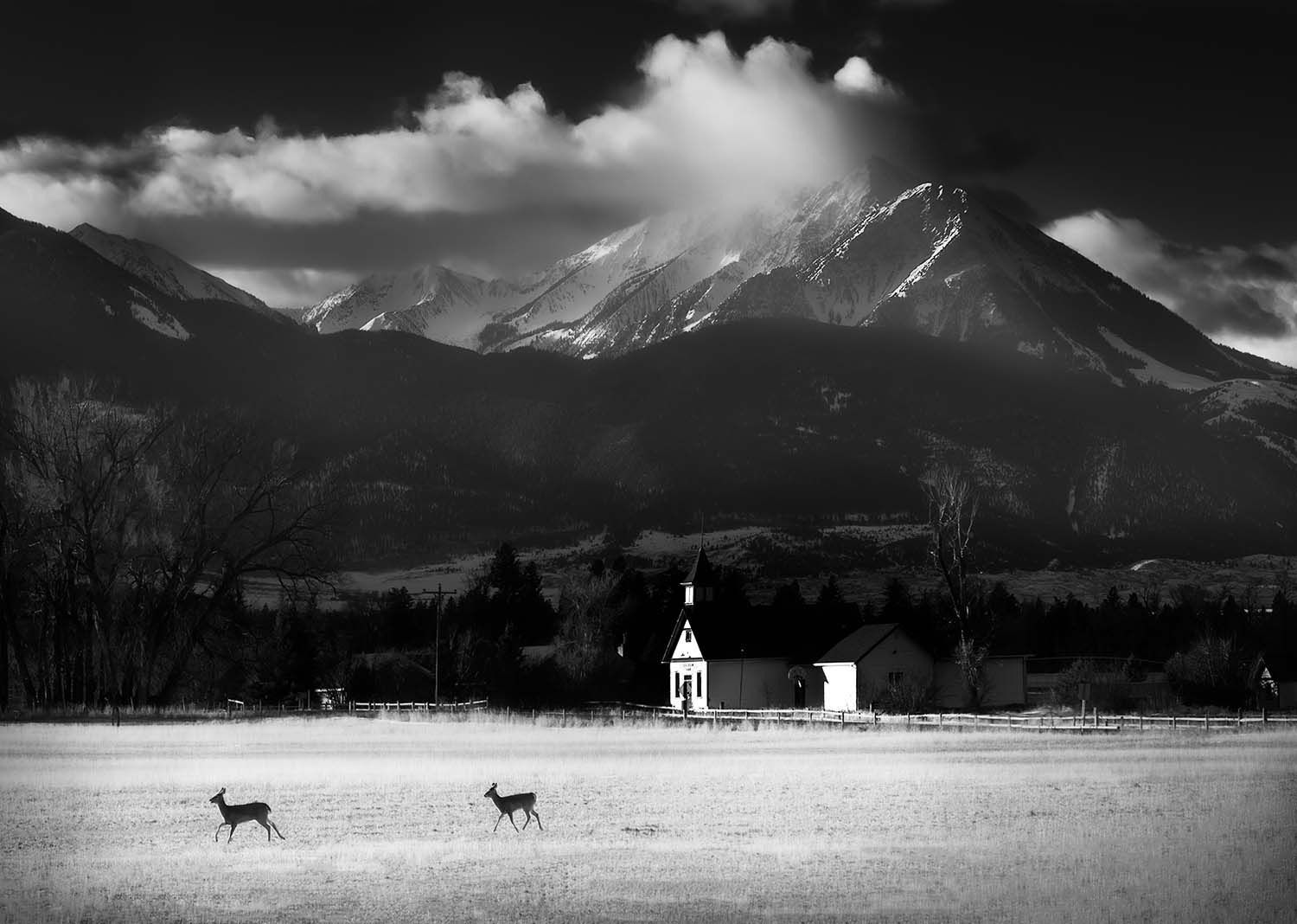 El encanto poético de la fotografía en blanco y negro | Sony | Alpha Universe