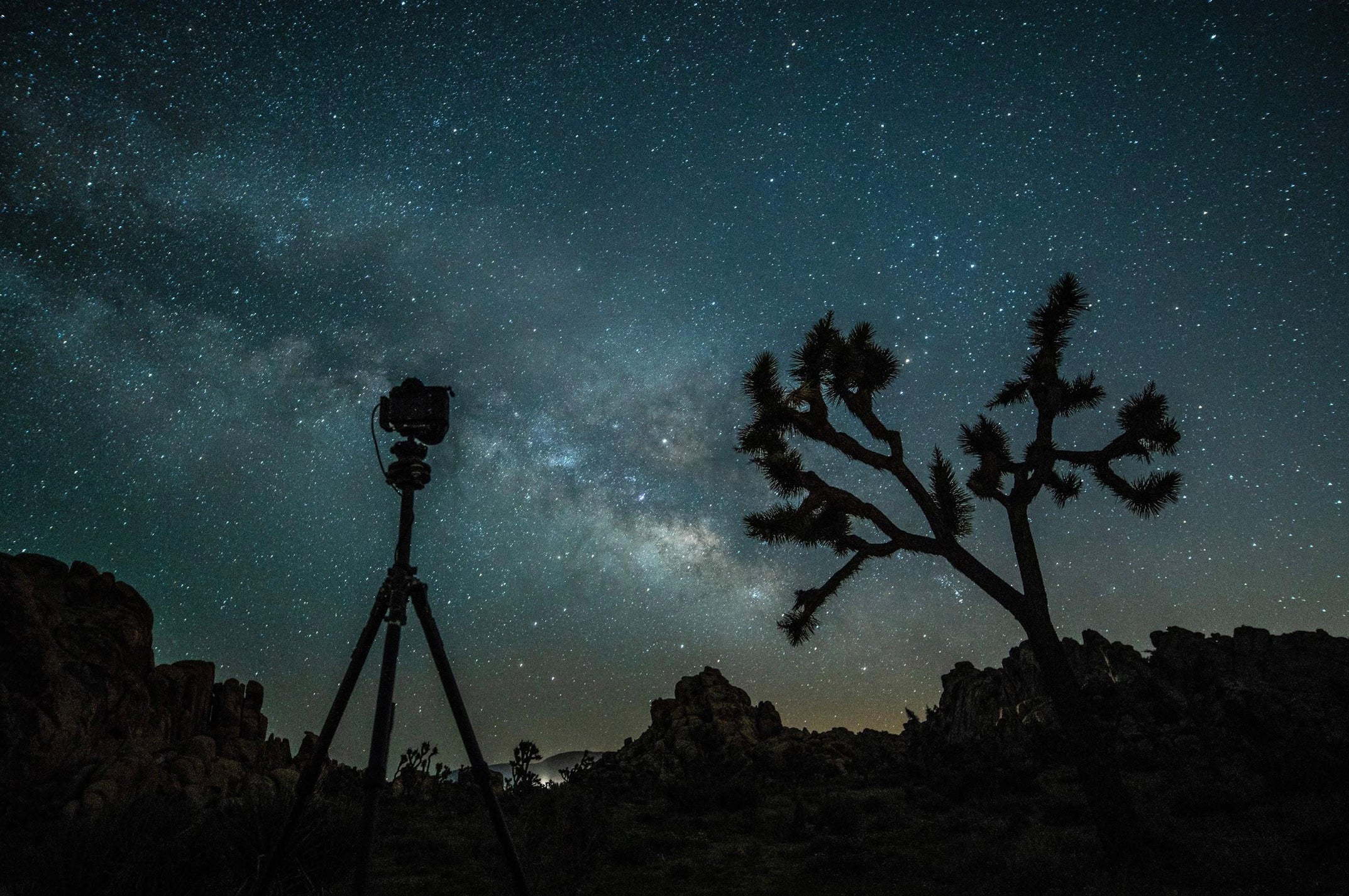 Cómo iniciarse en el arte del Light Painting | Sony | Alpha Universe